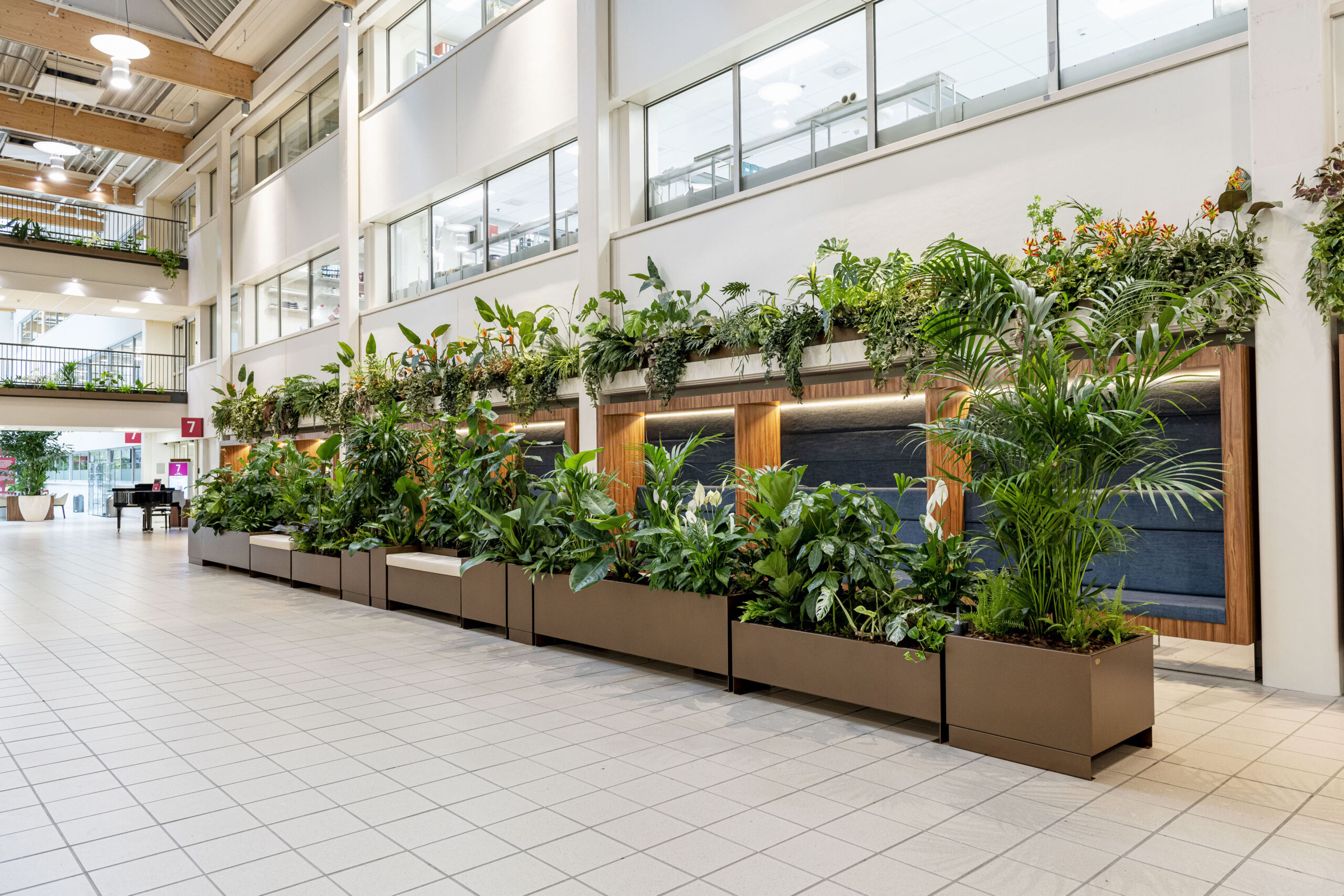 Green is more than beautiful! | Greening phase 2 AvL completed - Royal ...